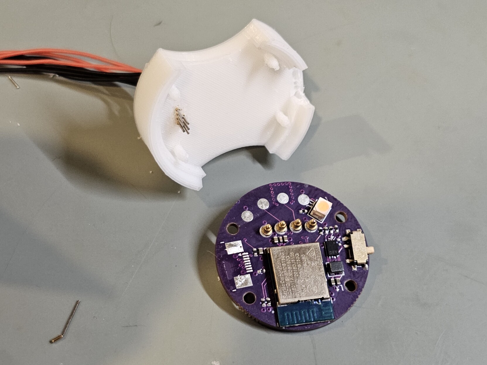 Tequin (@tequin@furry.nz) - NZ Furries