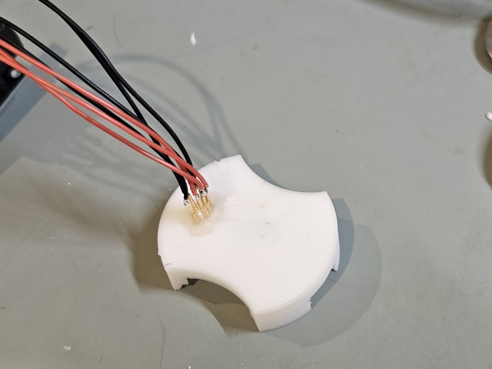 Tequin (@tequin@furry.nz) - NZ Furries